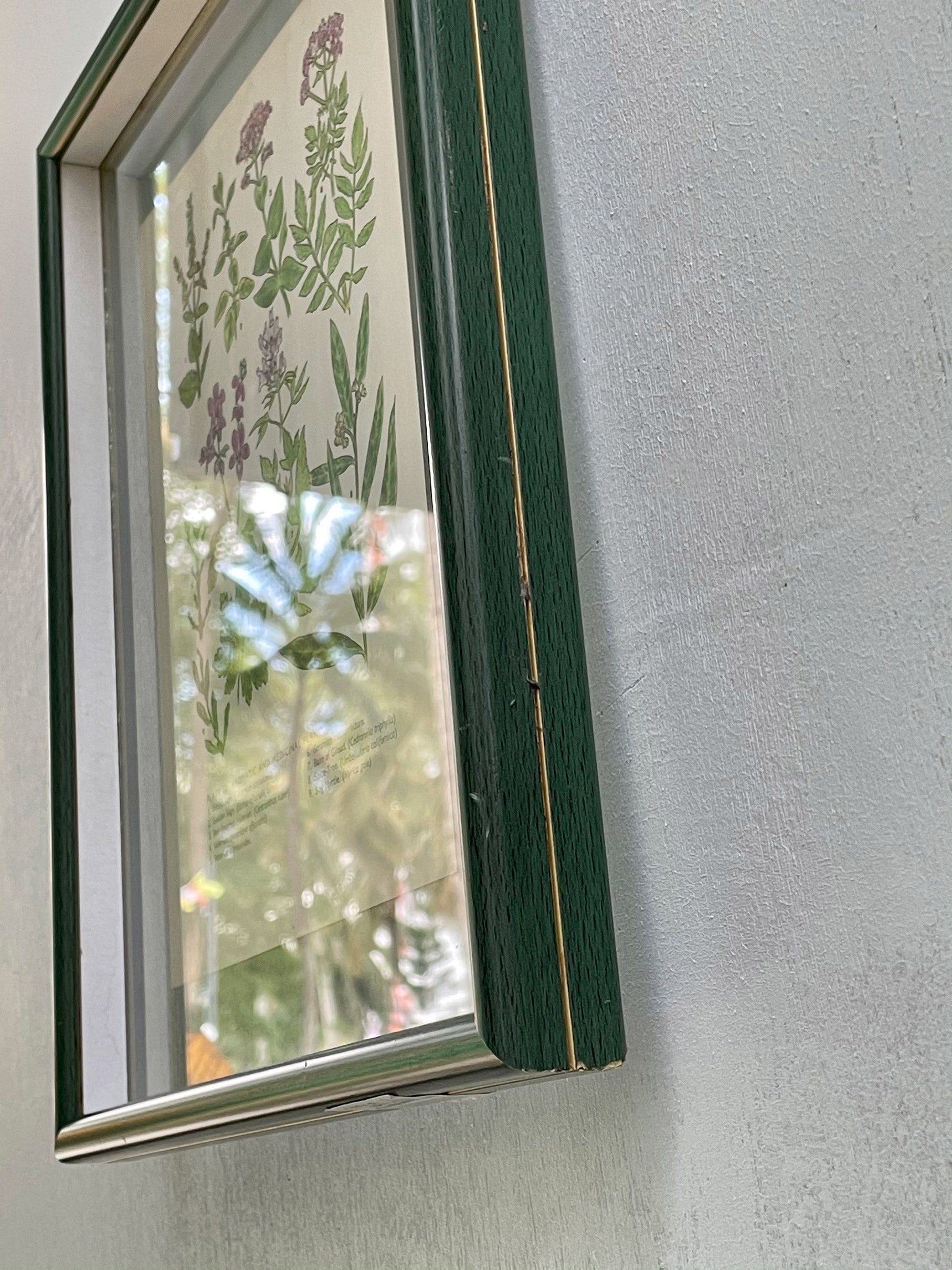 Illustrated Artwork – Greenhouse Design Space